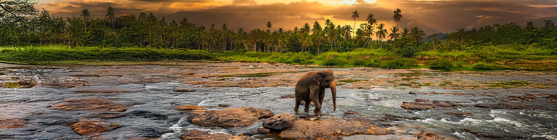 Flights to Colombo (CMB) - Find best flight deals & book direct ...