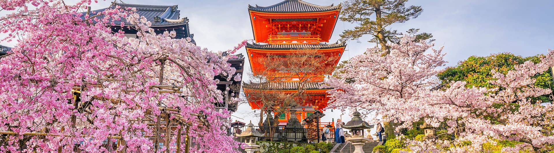 Vuelos desde Túnez a Japón | Etihad Airways