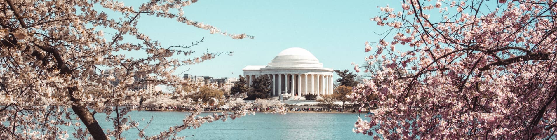 Flights to United States - Find best flight deals & book direct ...