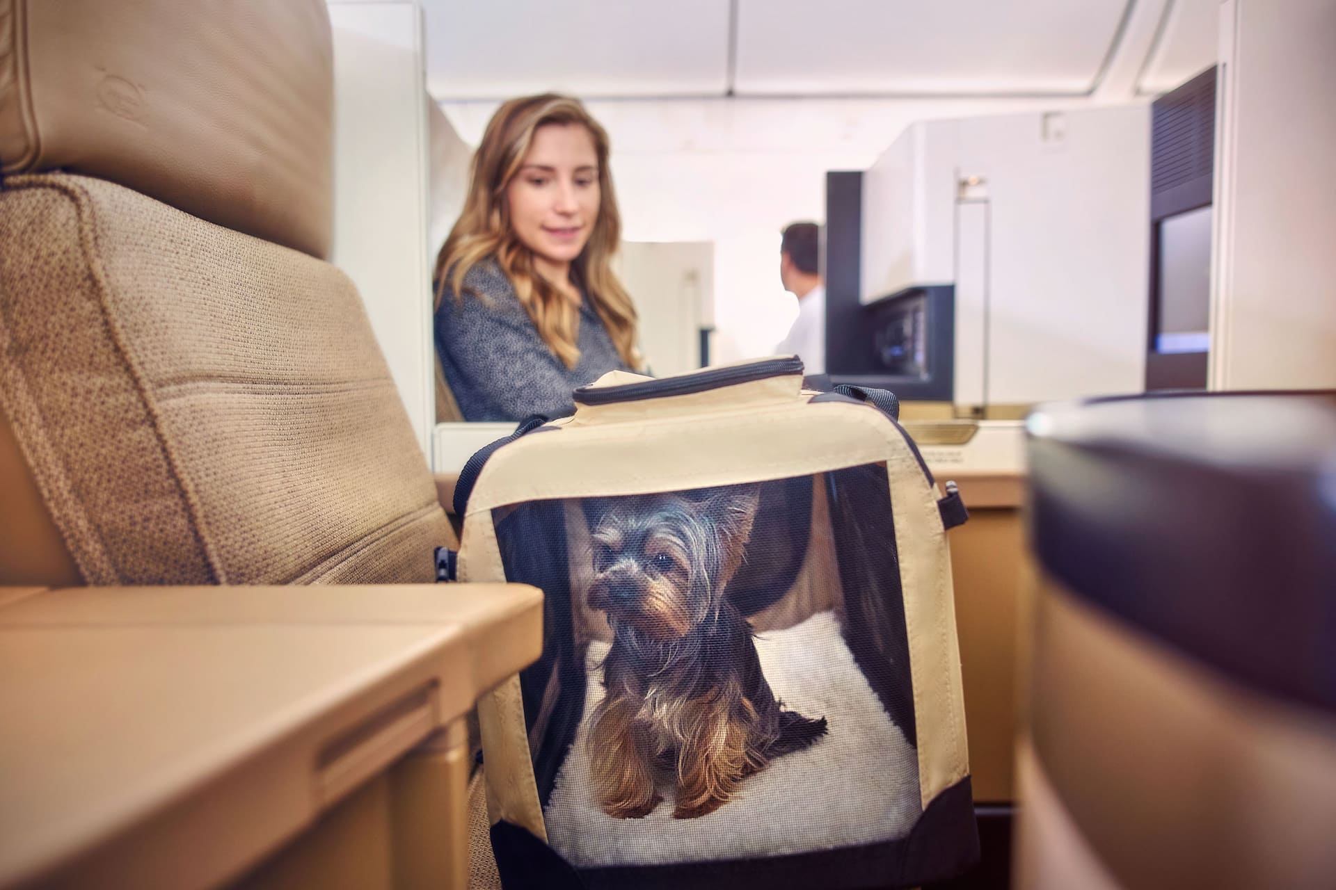 Travelling with pets, Guideline & Information - Etihad Airways