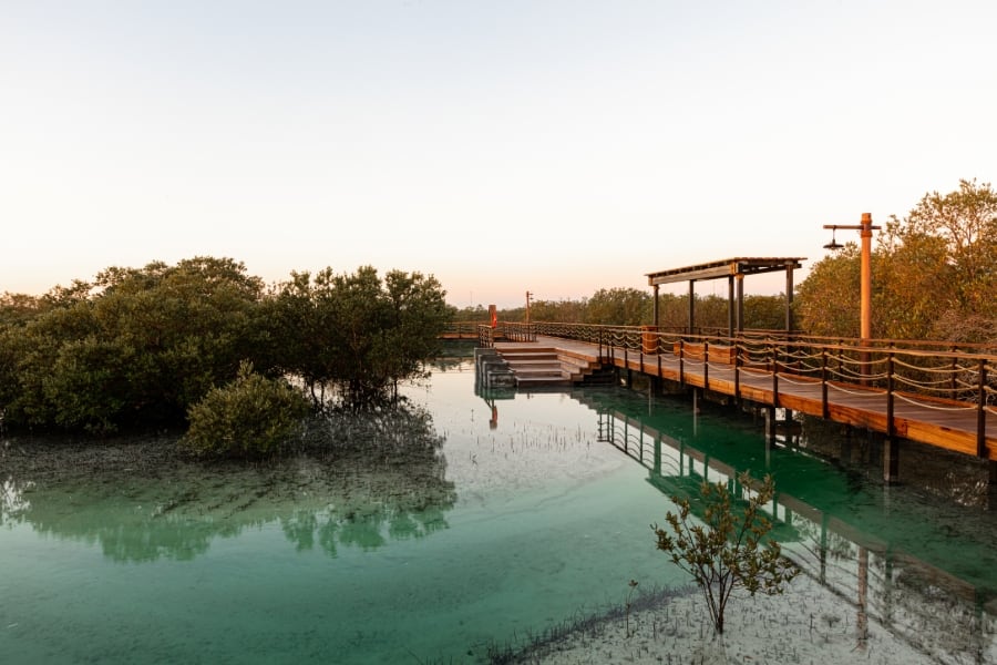 Jubail Mangrove Park | Etihad