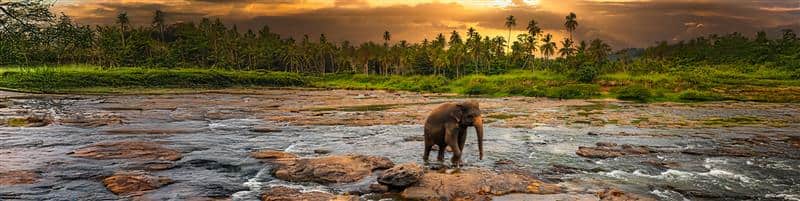 Flights from Toronto (YYZ) to Colombo (CMB) | Etihad Airways